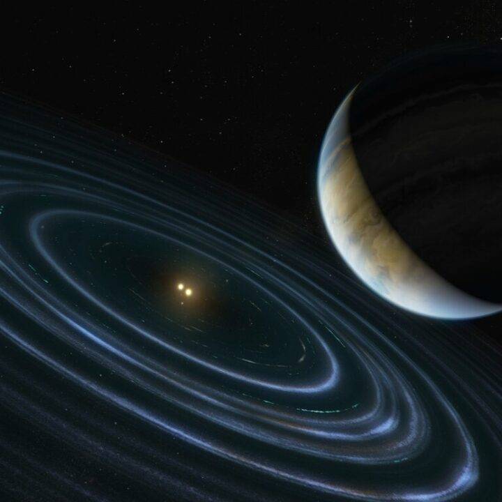 Dating the Next `Oumuamua and the Art of Cosmic Mating - The Debrief