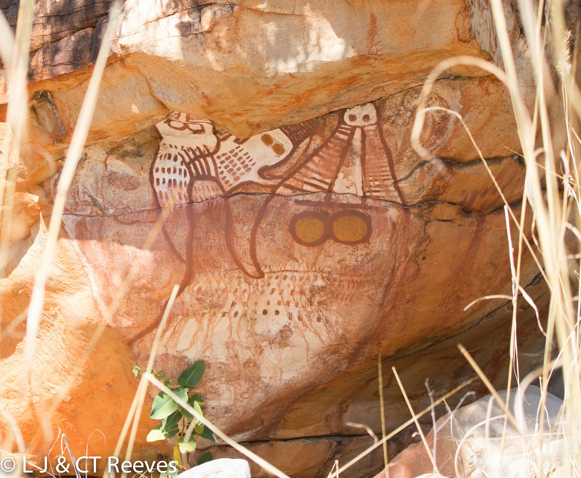 wandjina the rain maker image flickr cheryl reeves