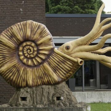 How 3D-Printed Robotic Ammonites are Helping Bring Ancient Fossils to ...
