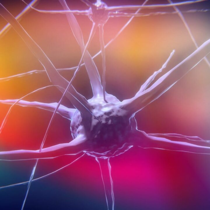 What Made the Mushrooms Magic: Psychedelic Study Explores the Odd ...